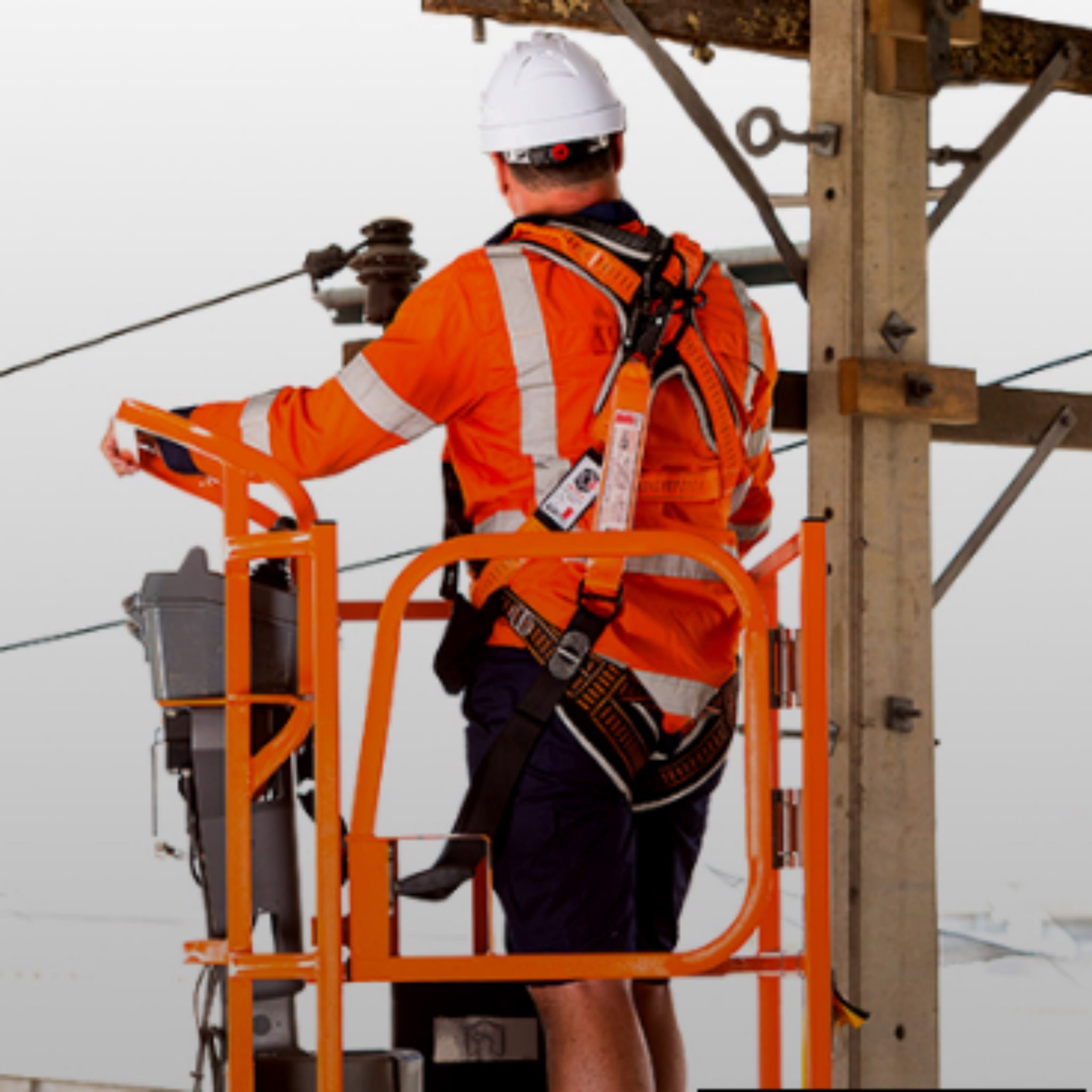 Harnesses - Handling Equipment Canterbury